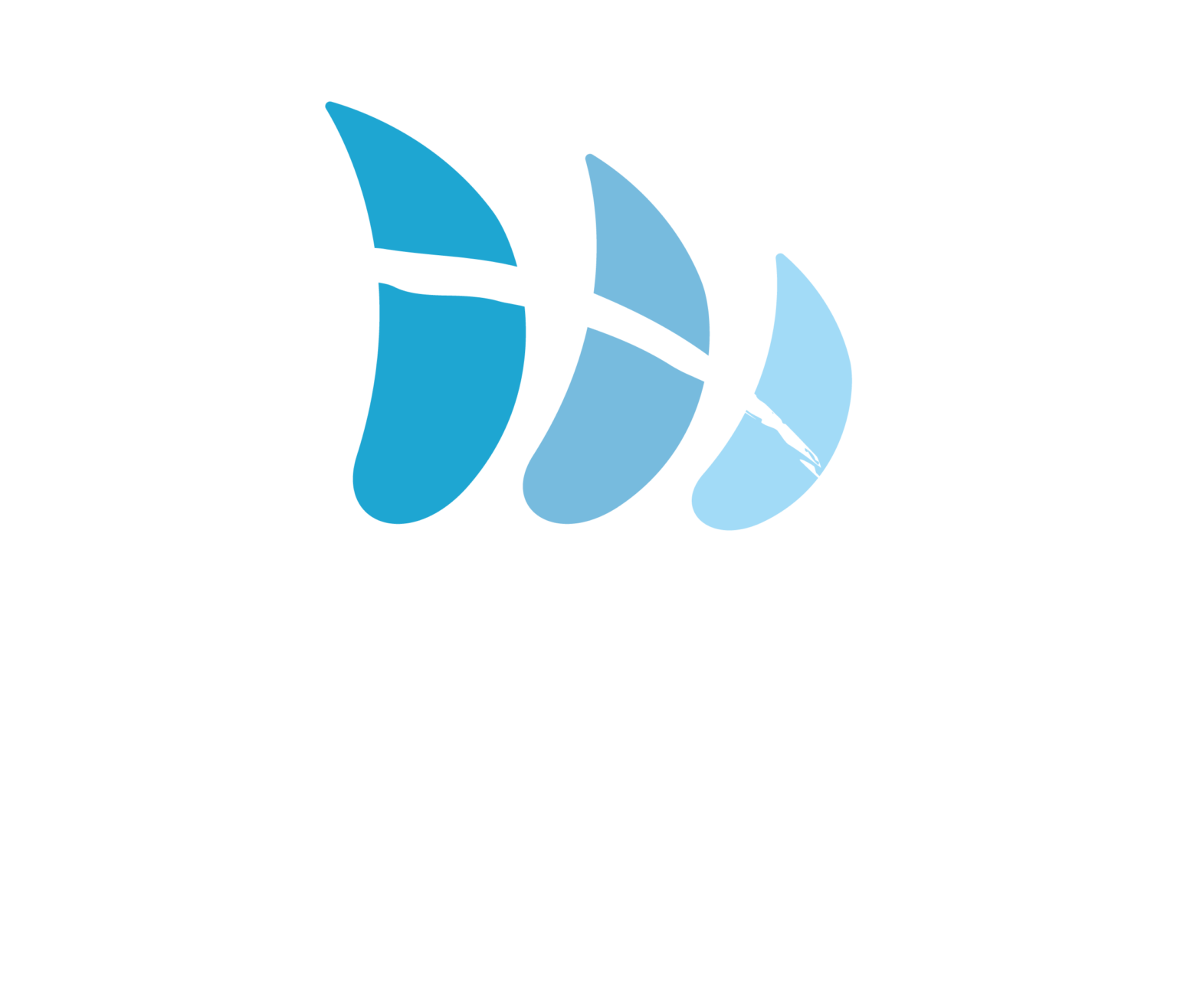 Resources - Multisolving Institute