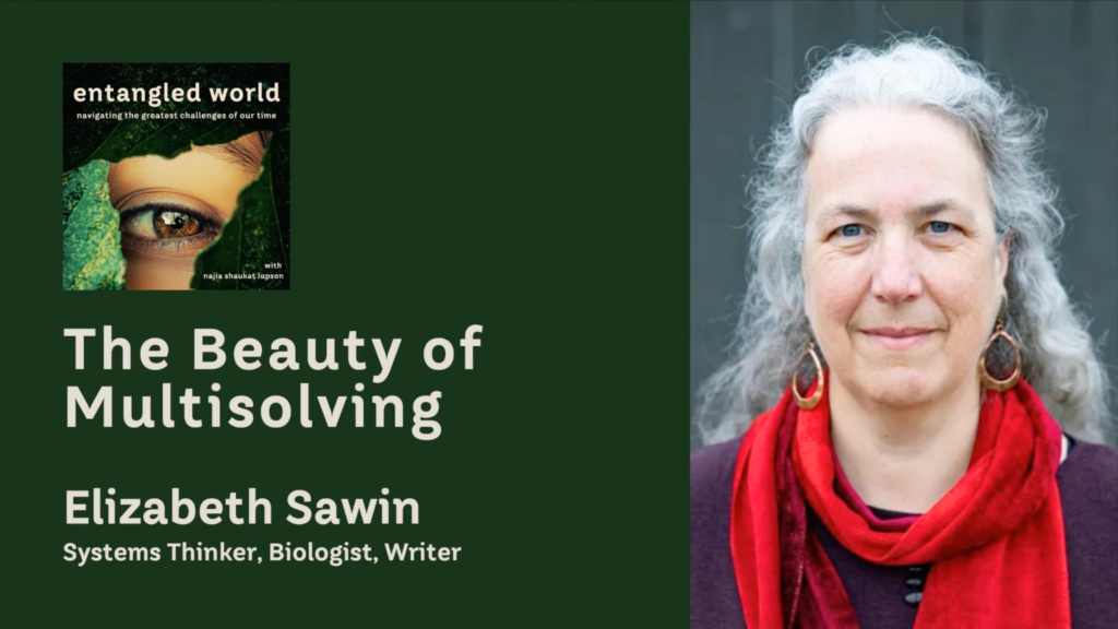 Elizabeth Sawin speaks on Multisolving in New Podcast - Multisolving ...